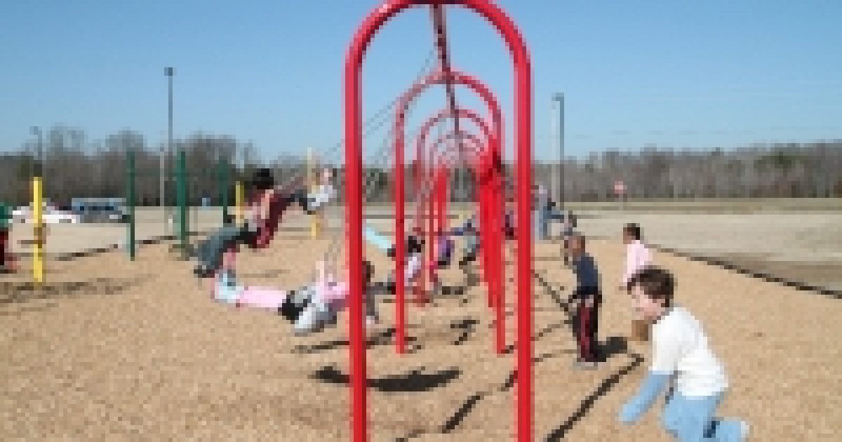 Provide your playground with the correct swings | Playcraft Systems