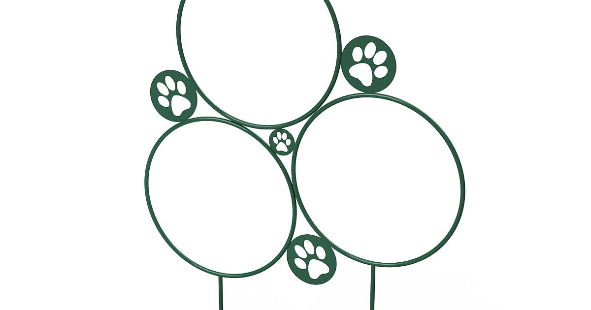 Hoop Jump | Playcraft Systems