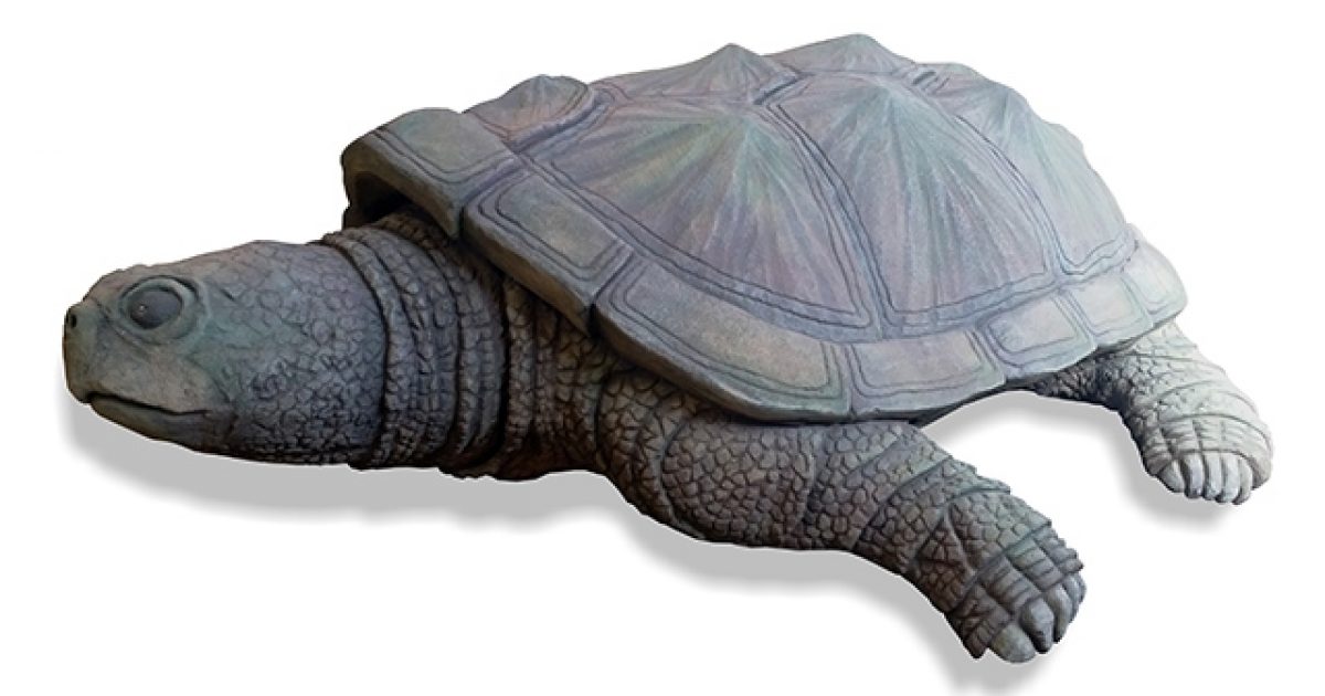 Snapping Turtle | Playcraft Systems